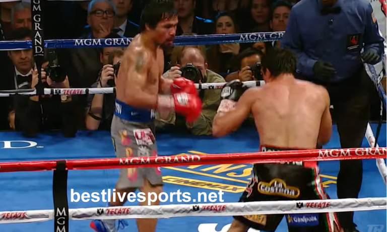 How to Play Boxing History: A Beginner's Guide - Best live Sports